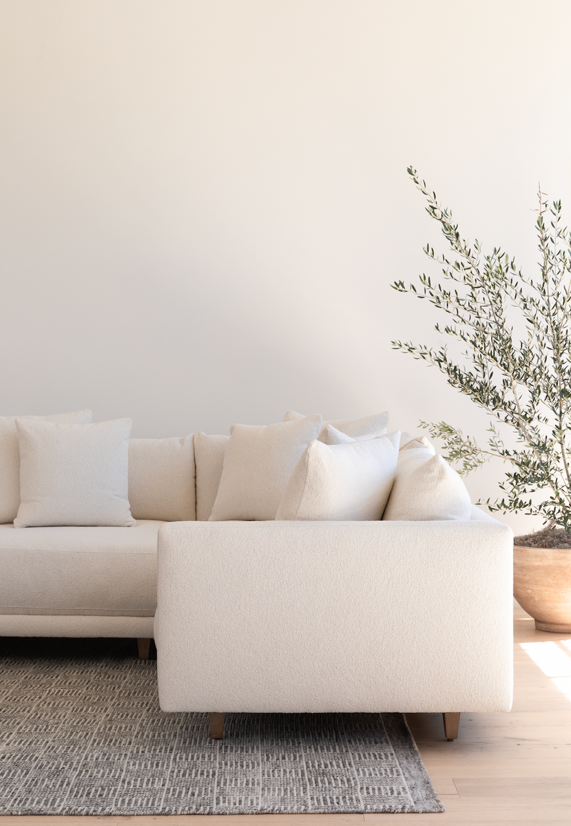 Embracing the Perfect Blend of Function and Design in Tucson! – Nest in ...