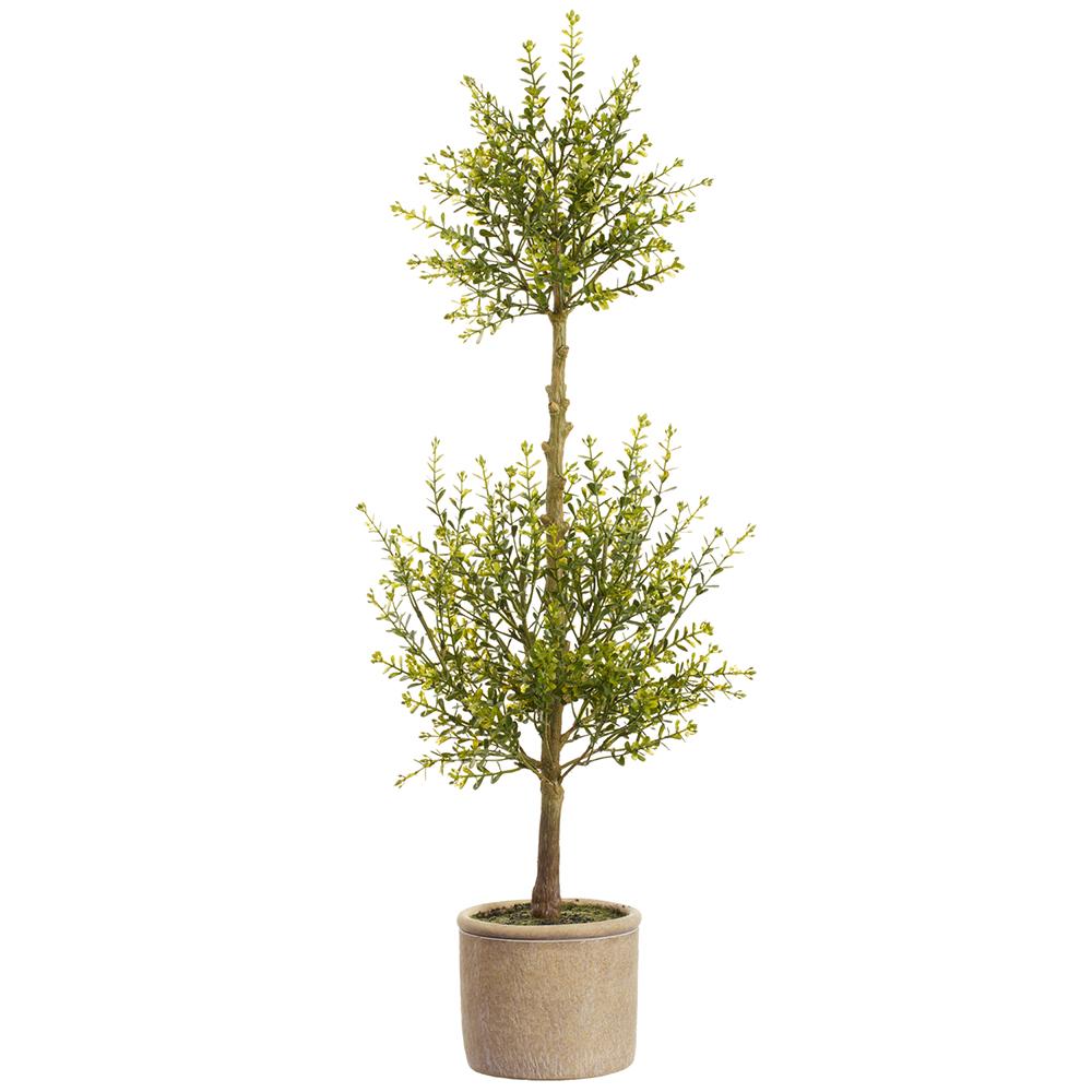 Myrtle Tree in Cement Pot – Nest in the Desert
